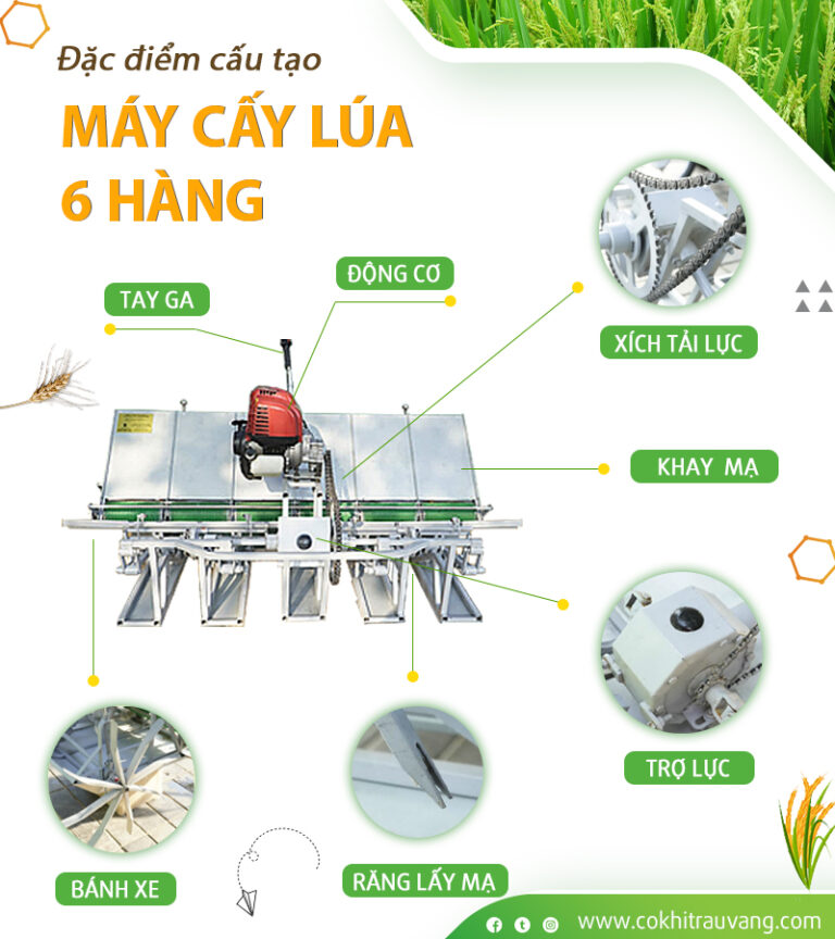 Máy Cấy Lúa Văn Lang Giá Bao Nhiêu? Có Ưu Điểm Gì? Máy chế biến thực ...