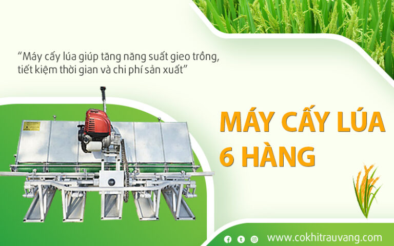 Máy Cấy Lúa Văn Lang Giá Bao Nhiêu? Có Ưu Điểm Gì? Máy chế biến thực ...